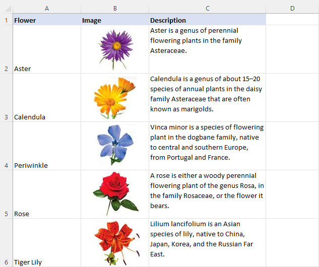 Veramente Ferro Cantina How To Insert Image In A Cell In Excel Prendere 
